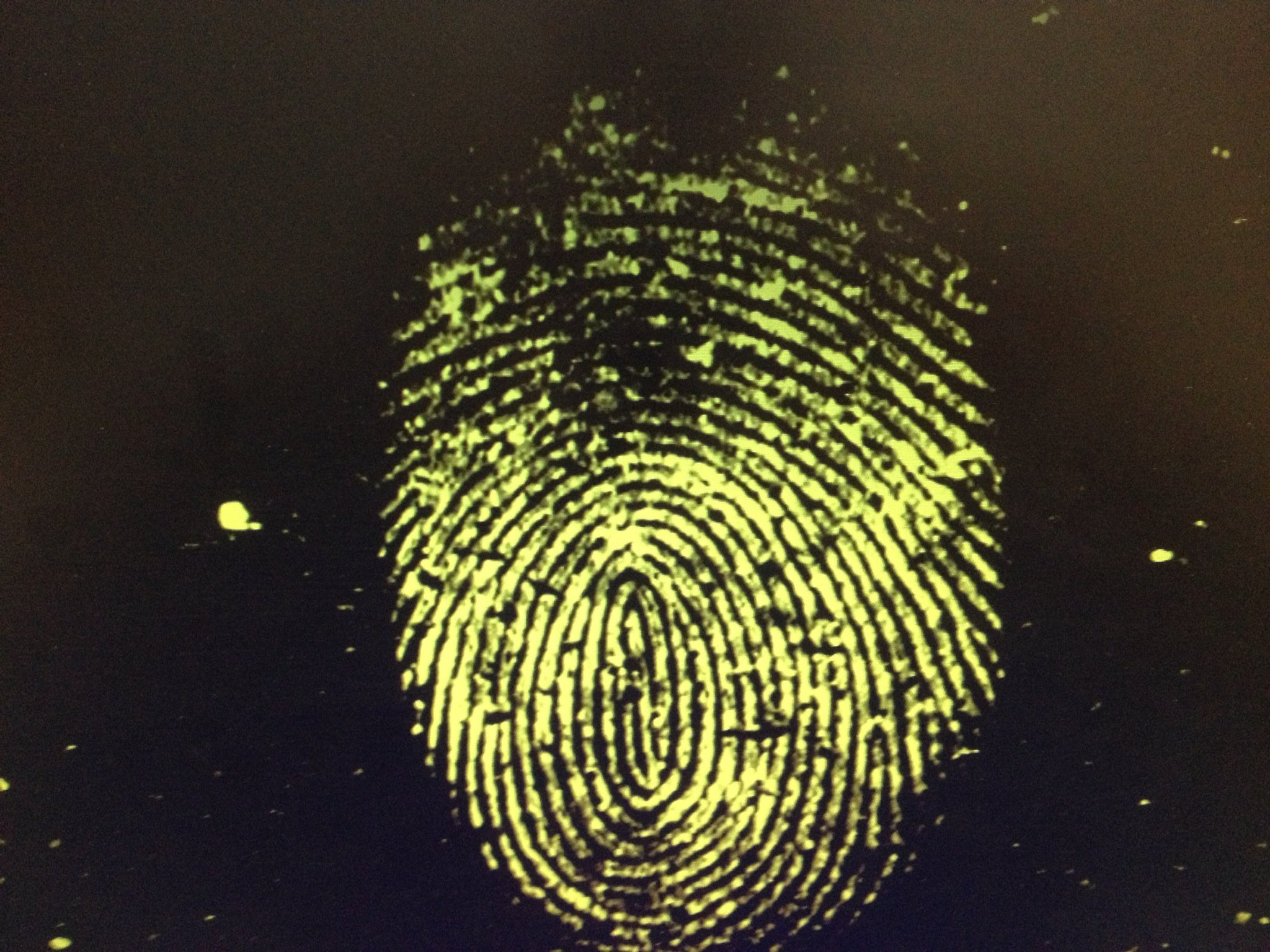 Investigations — Polk County Texas Sheriff's Office