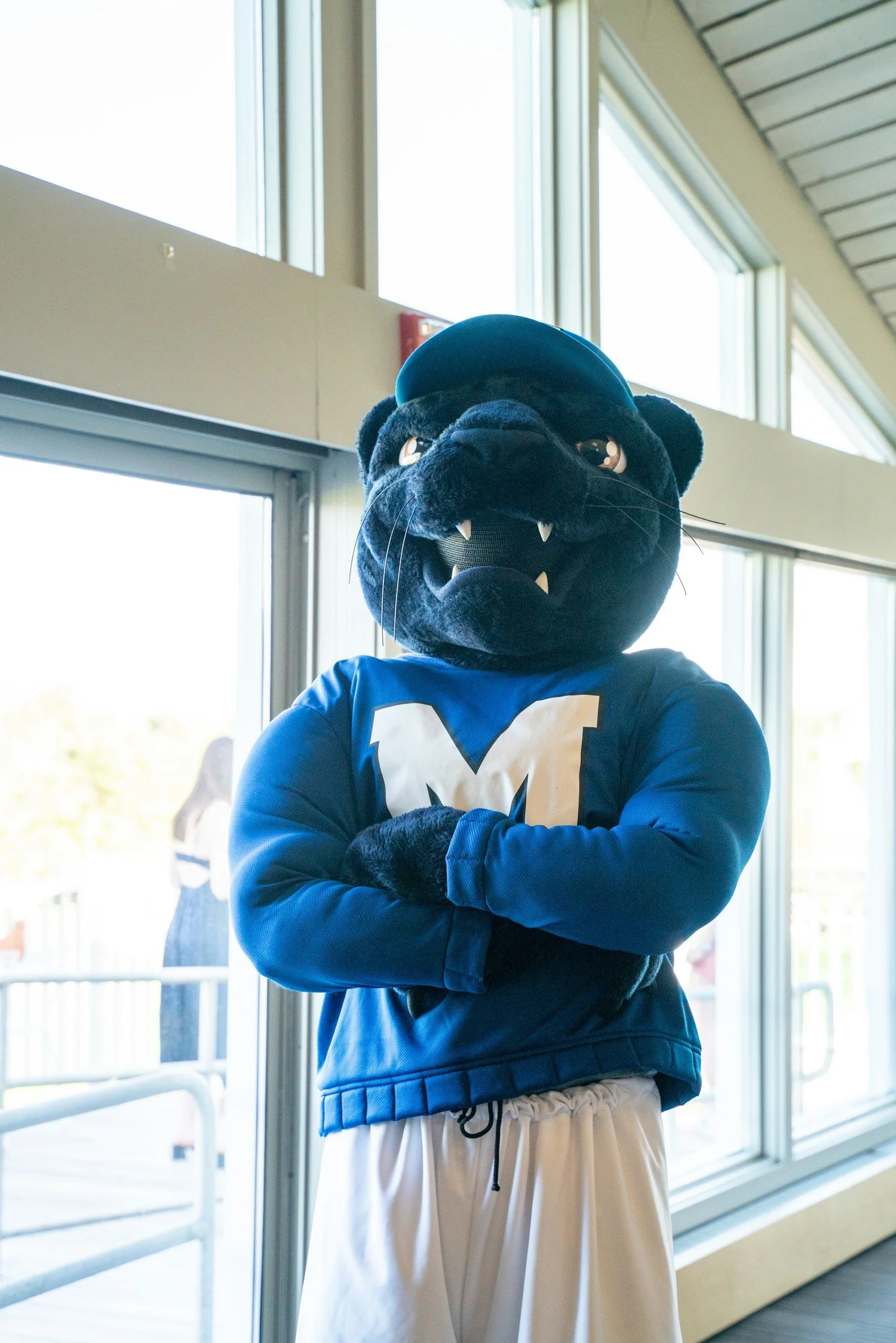 The Most Lovable College Mascots: Adorable Icons That Steal Hearts on ...