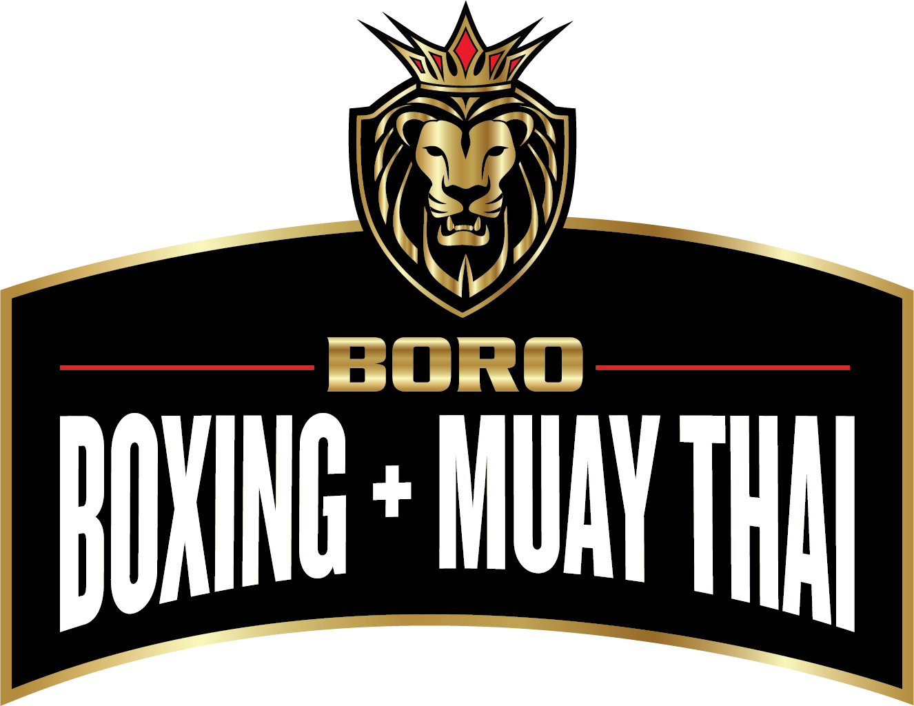 Boro Logo Png