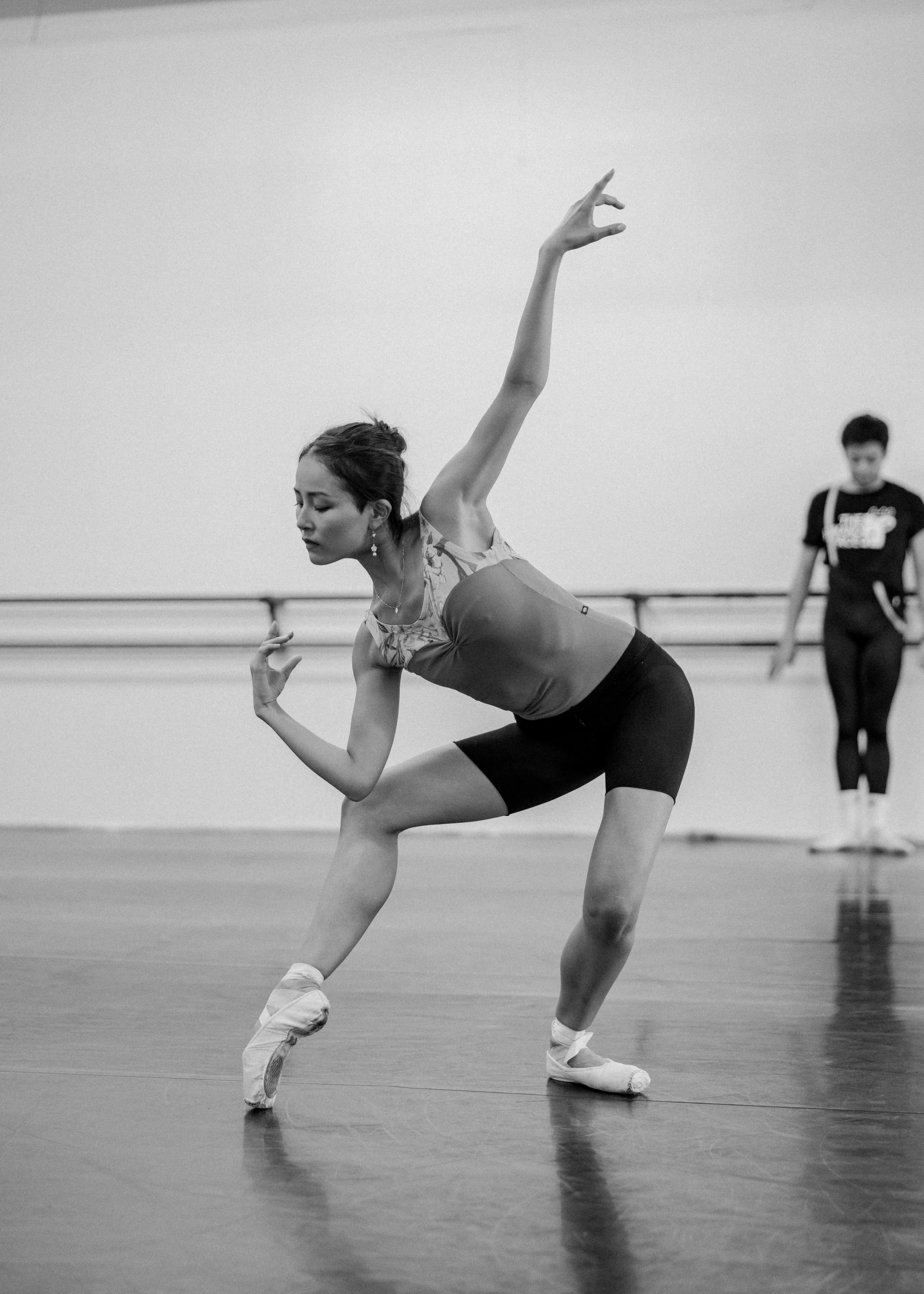 Repertoire — PointeWorks