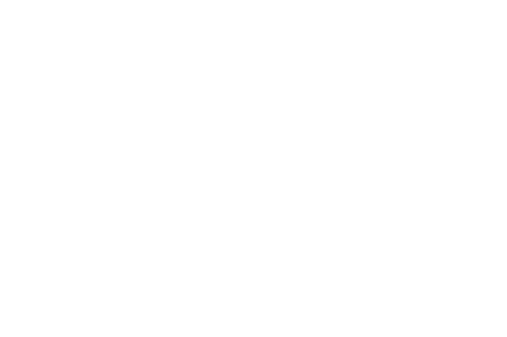 Watch — PointeWorks