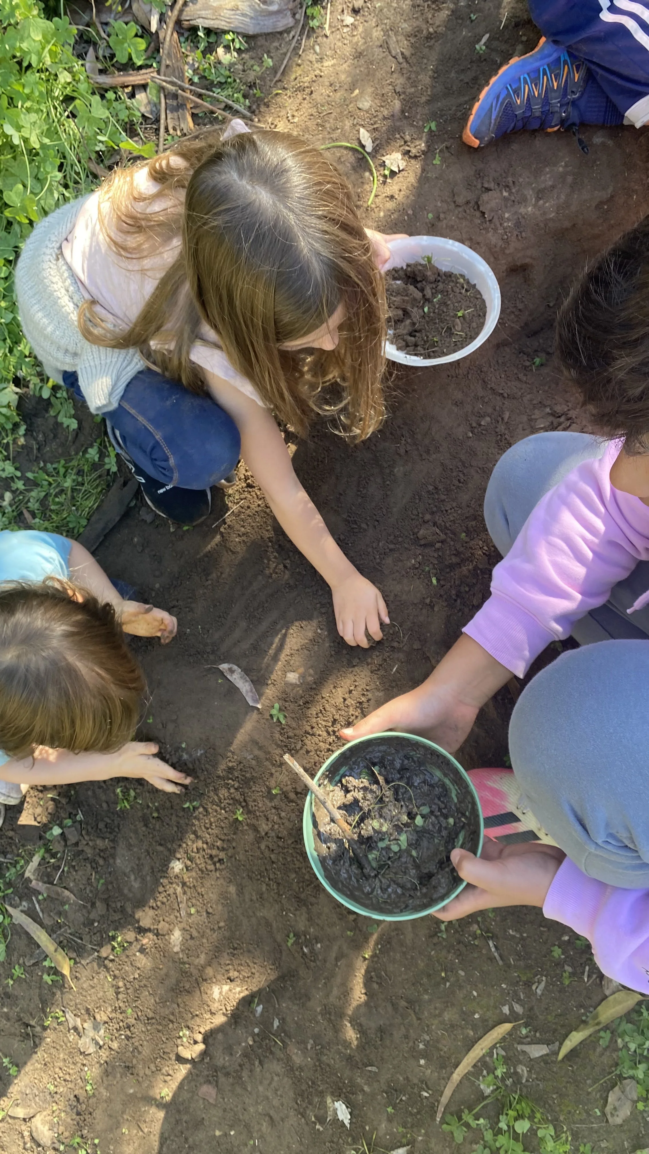 Connecting children with nature and learning Spanish — Evergreen Nature ...