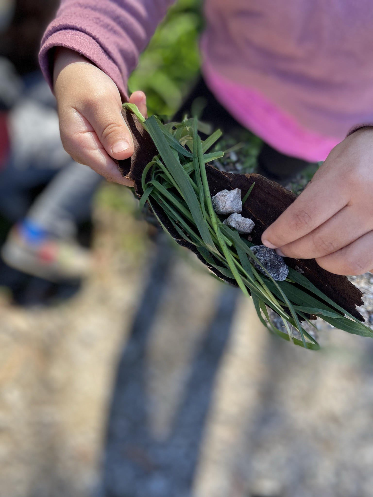 Learning through wonder – sparking curiosity, investigation and ...