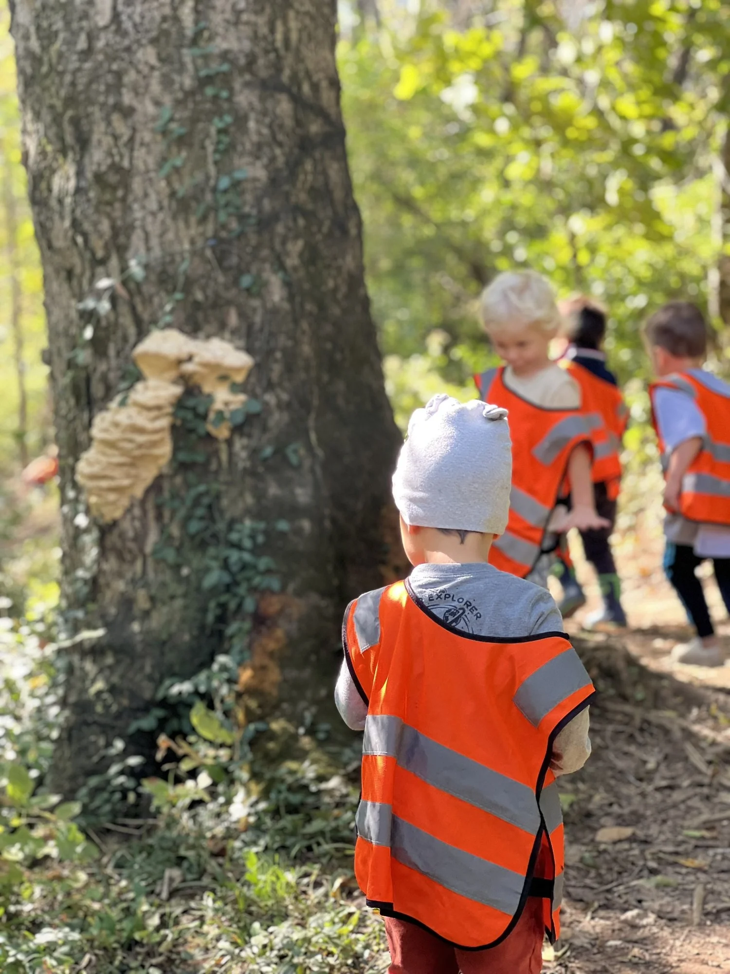 Learning through wonder – sparking curiosity, investigation and ...