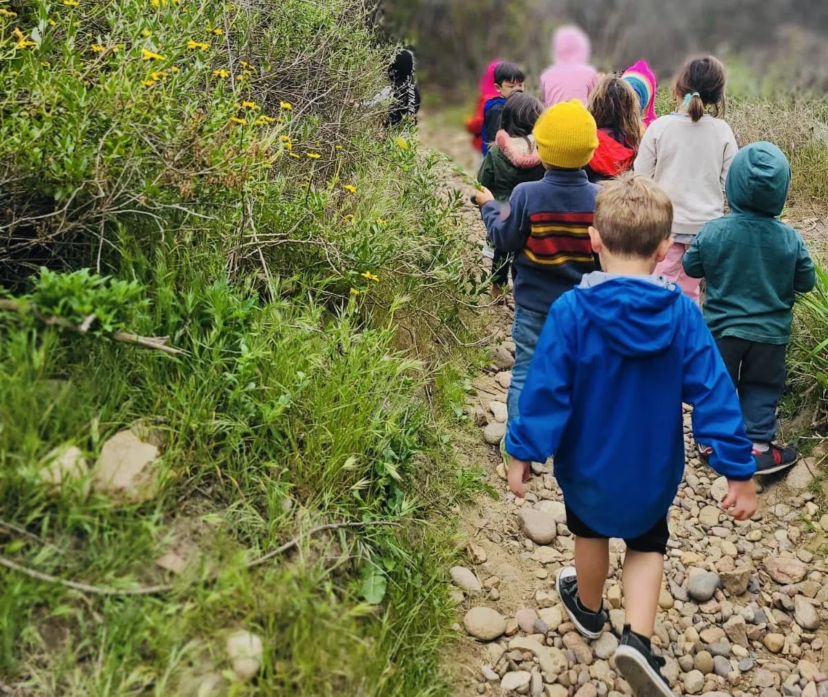 Evergreen Nature School - 100% outdoor nature immersion