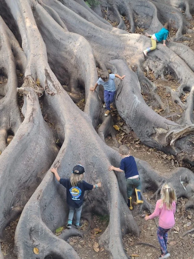 Evergreen Nature School - 100% outdoor nature immersion