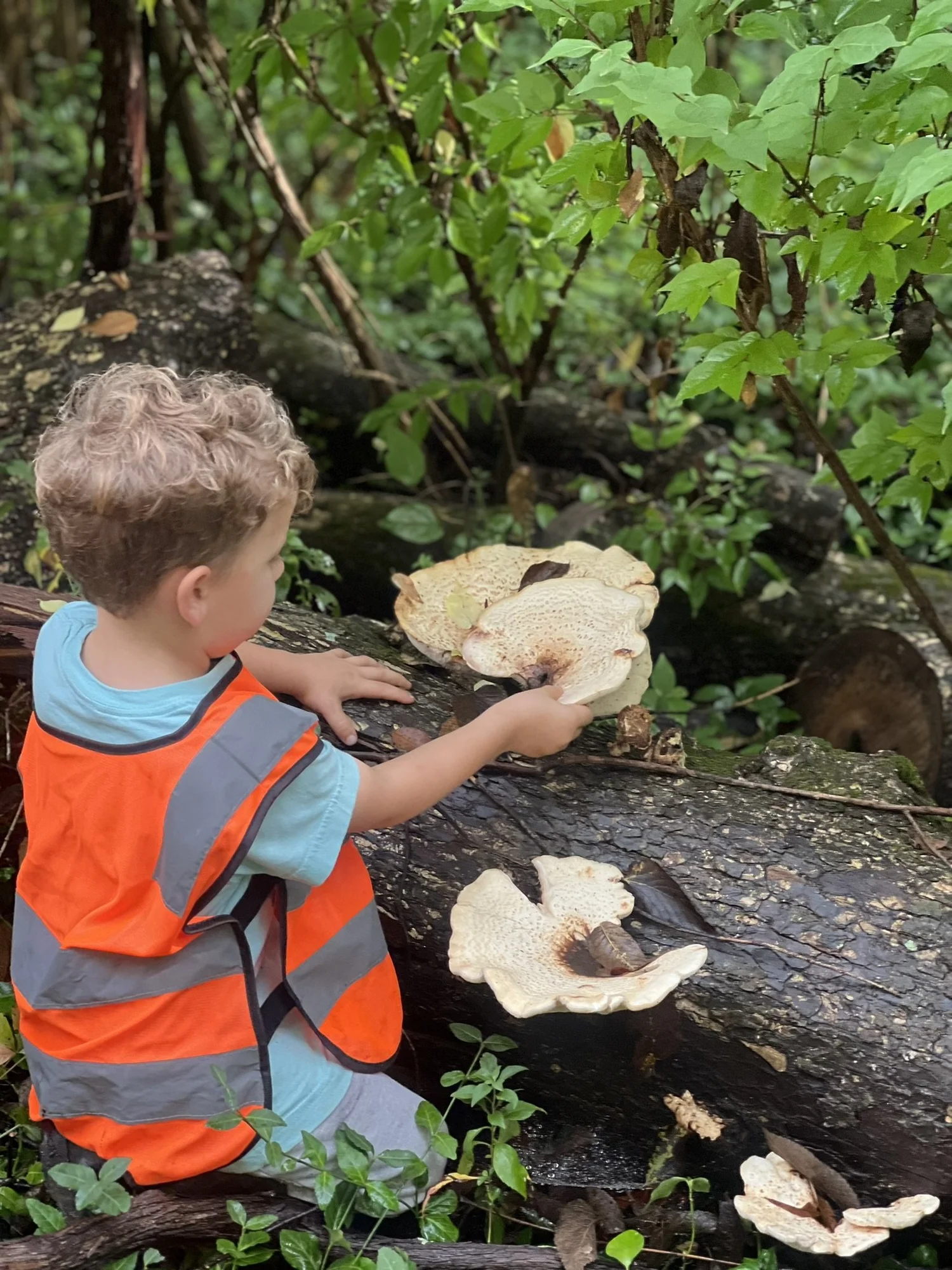 Connecting children with nature and learning Spanish — Evergreen Nature ...