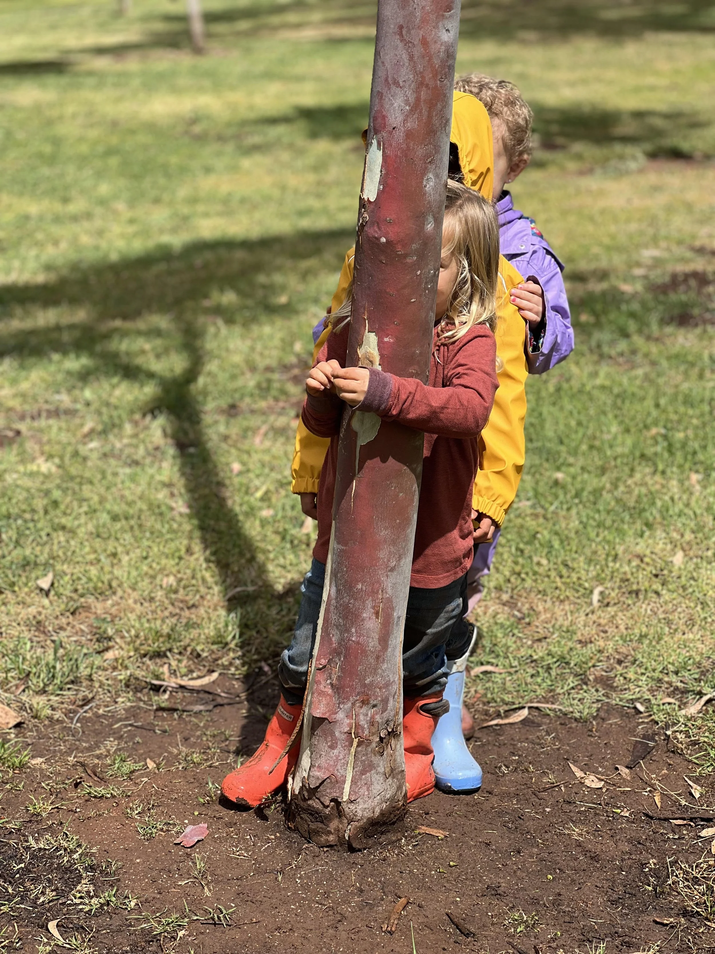 Connecting children with nature and learning Spanish — Evergreen Nature ...