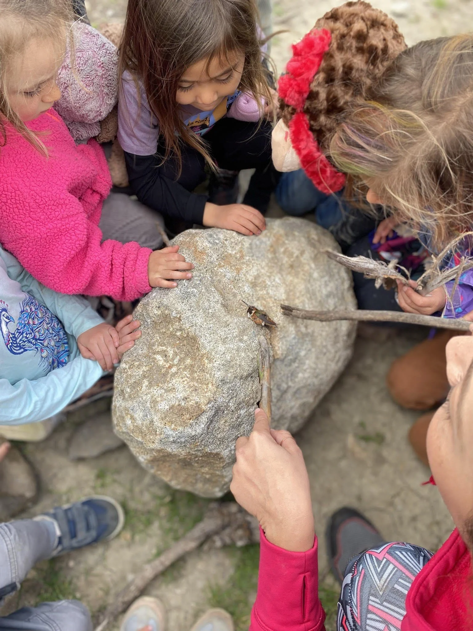 Evergreen Nature School - 100% outdoor nature immersion