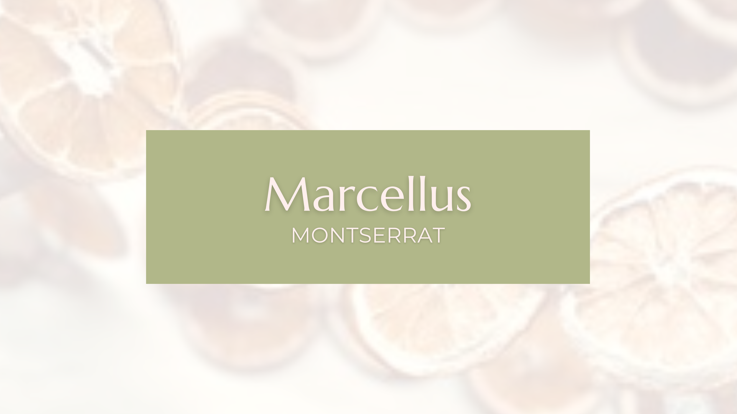 Elevate Your Designs: 15 Canva Font Pairings — Spritz Social Media ...
