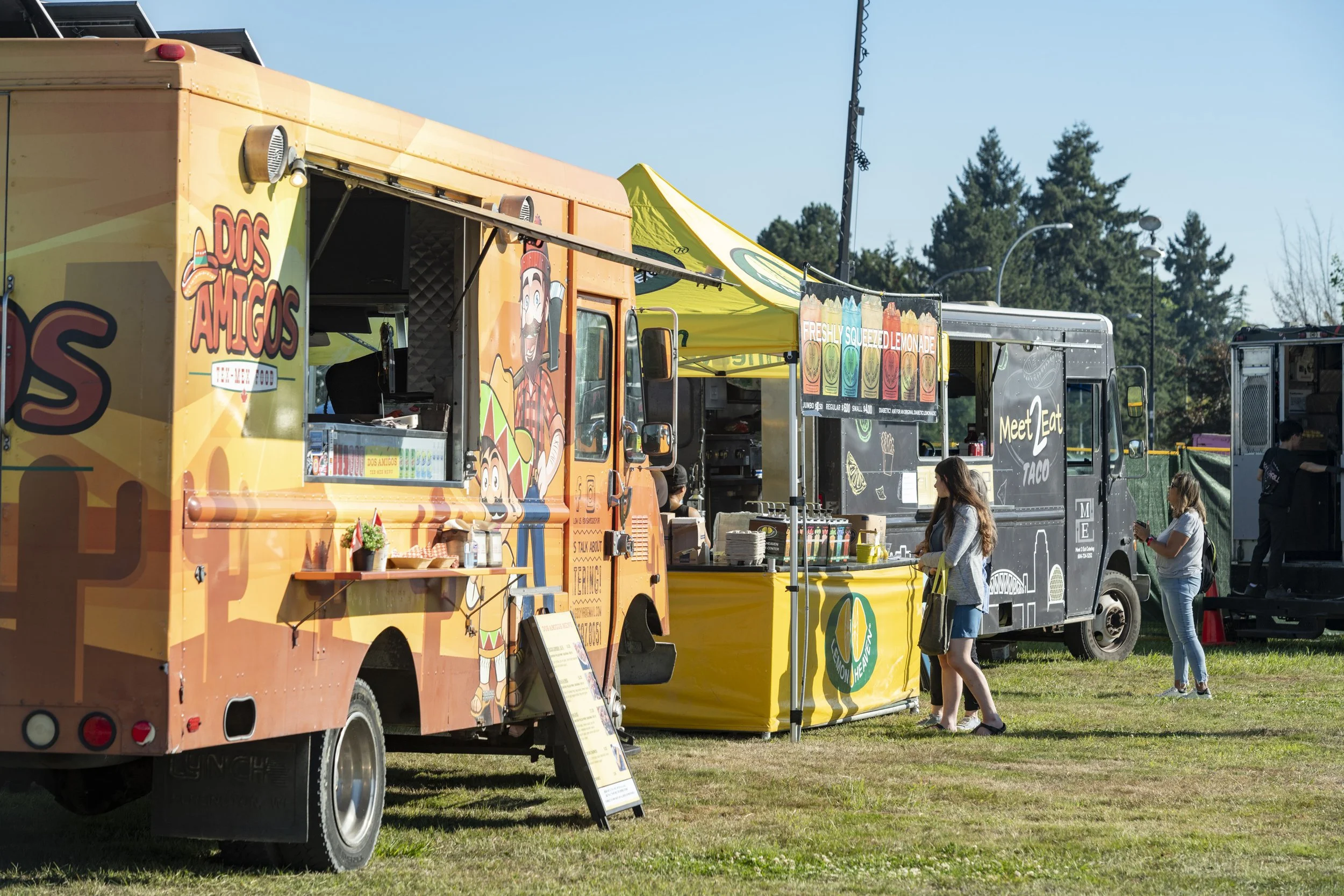 Festival Info — Barnside Harvest Festival