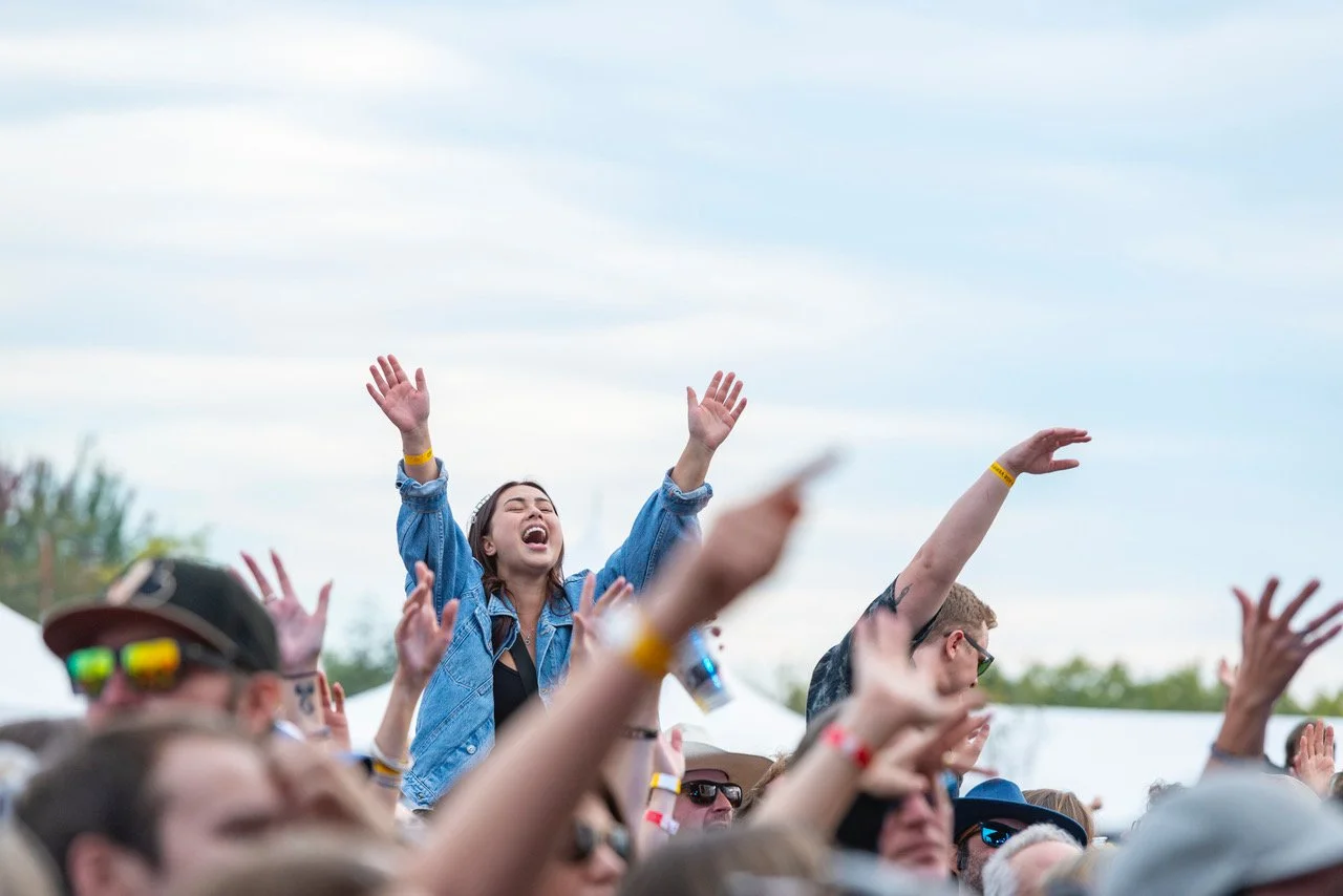 Festival Info — Barnside Harvest Festival