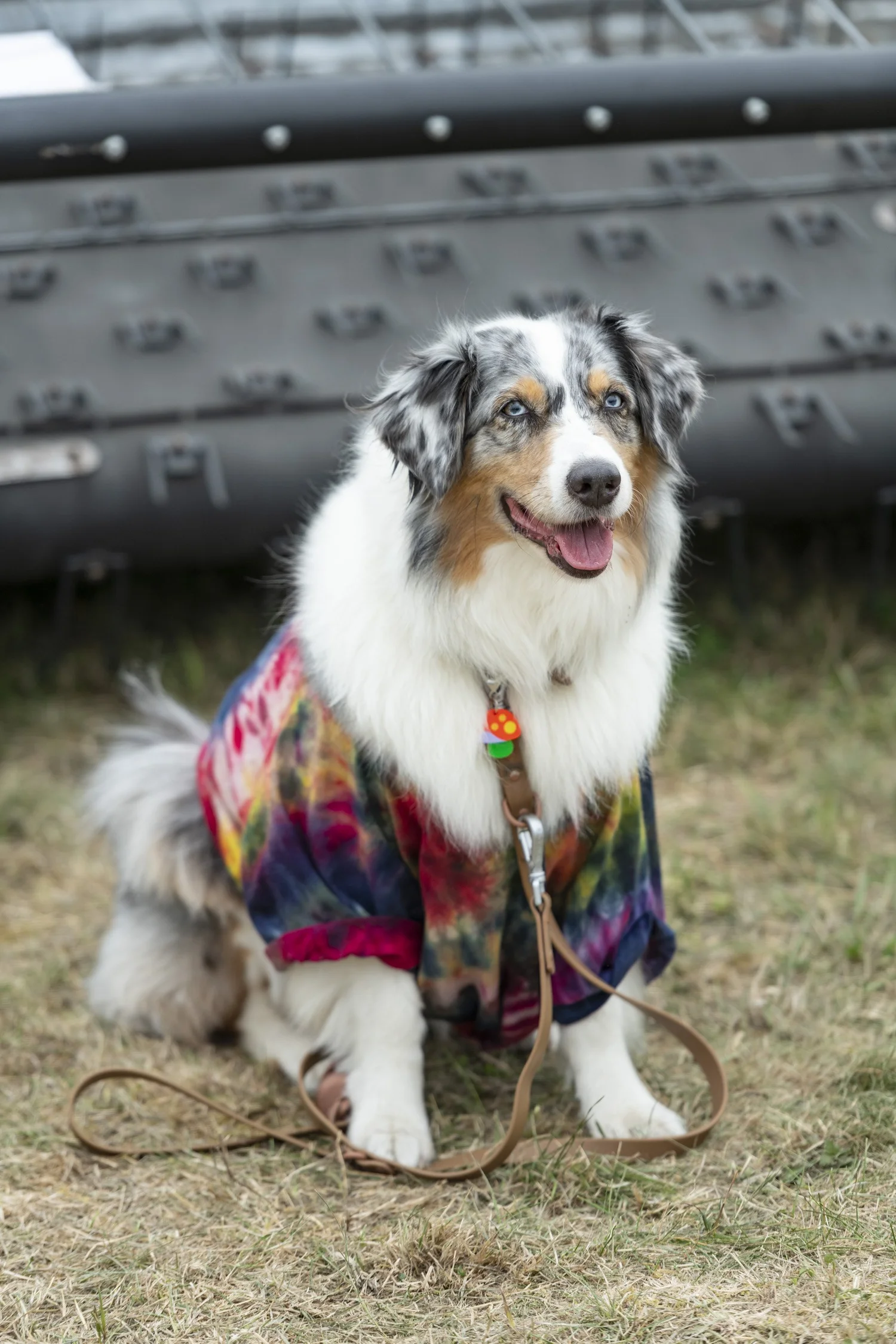 Barnside Harvest Festival