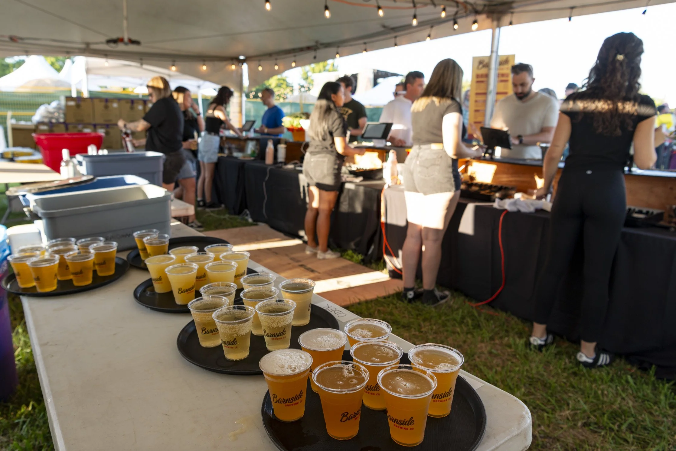 Barnside Harvest Festival