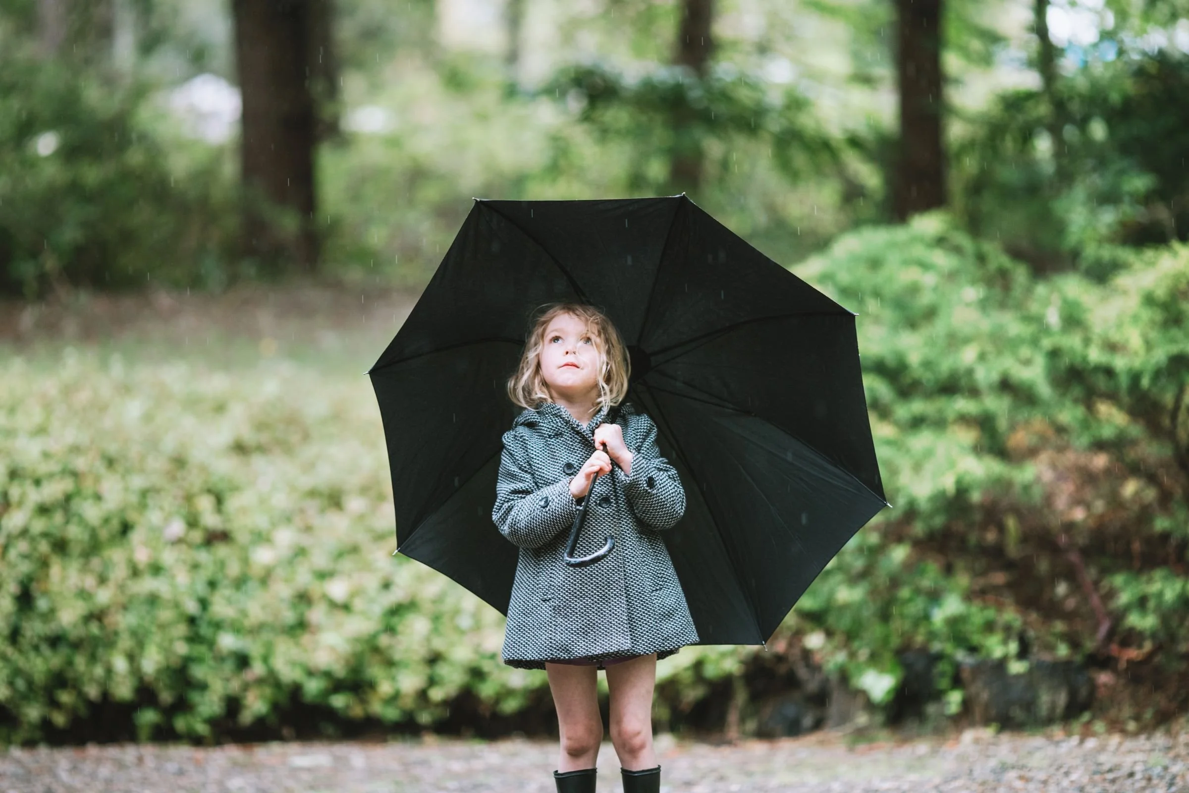 Event Kit | Cracking the Code: Understanding Weather Risks and Event ...