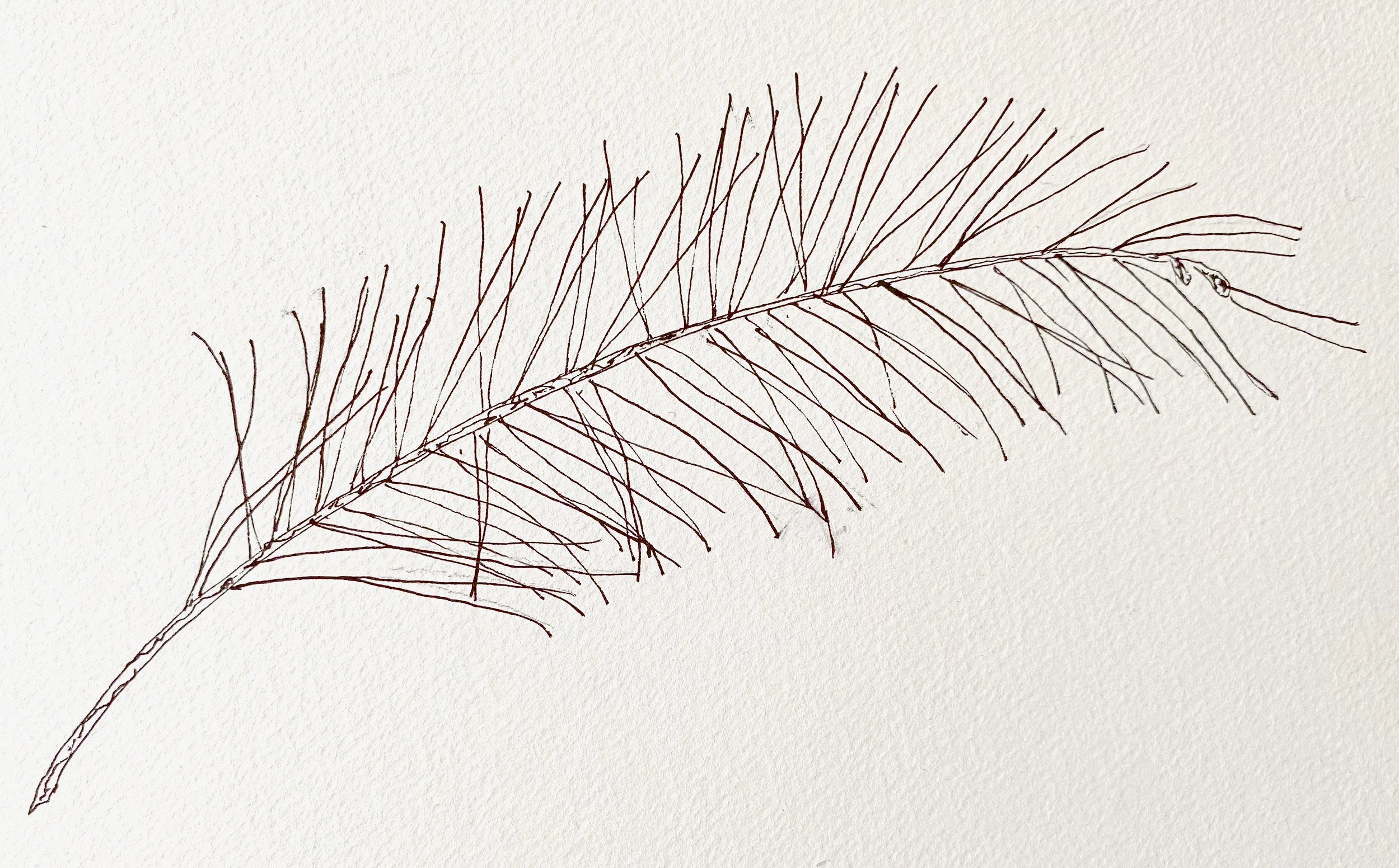 Michelle Standley, PhD