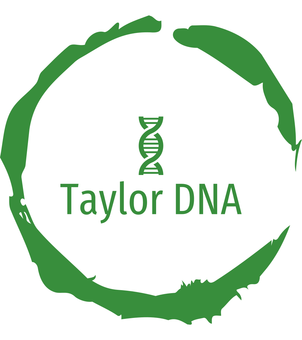 Products & Services — ISArc