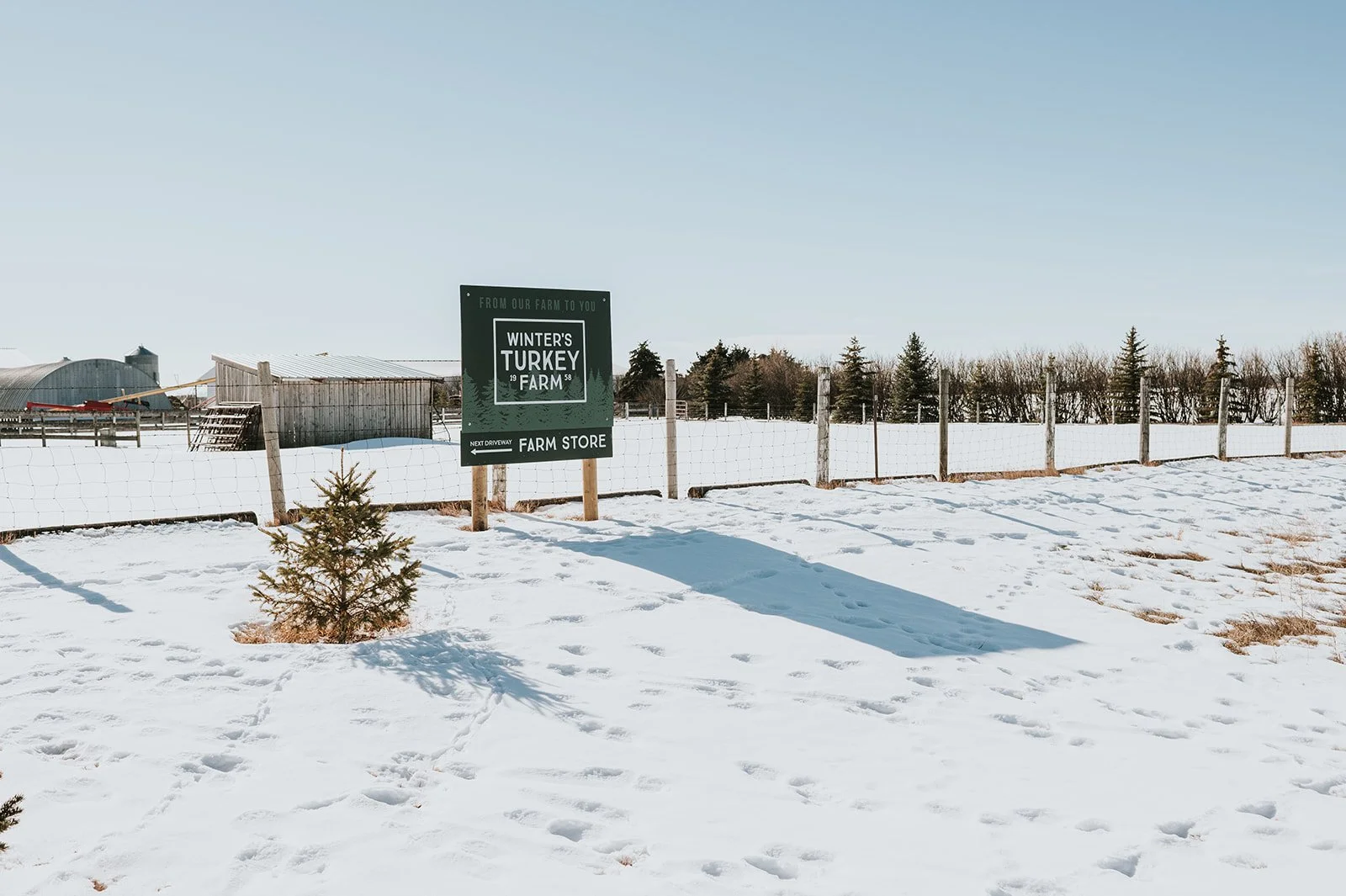 Our Family, Our Farm — Winter's Turkey Farm