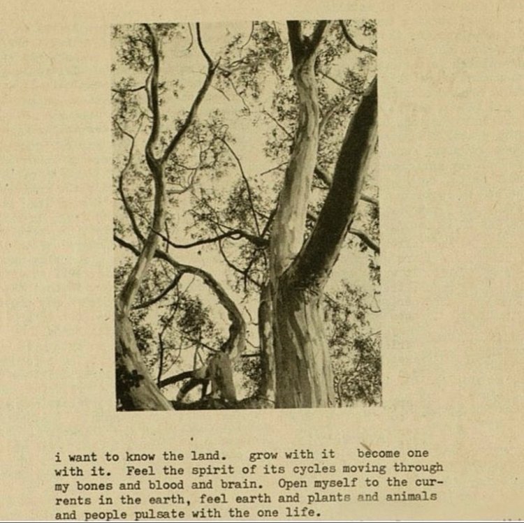 amy elizabeth vaughn