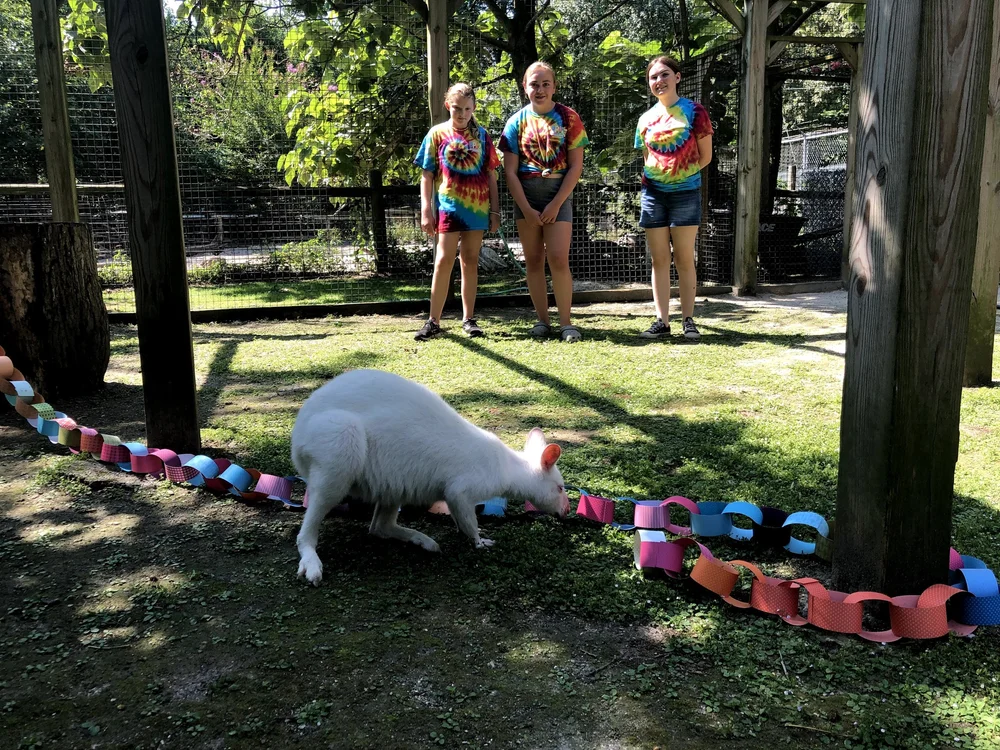 Private Zoo Tours — Cohanzick Zoo