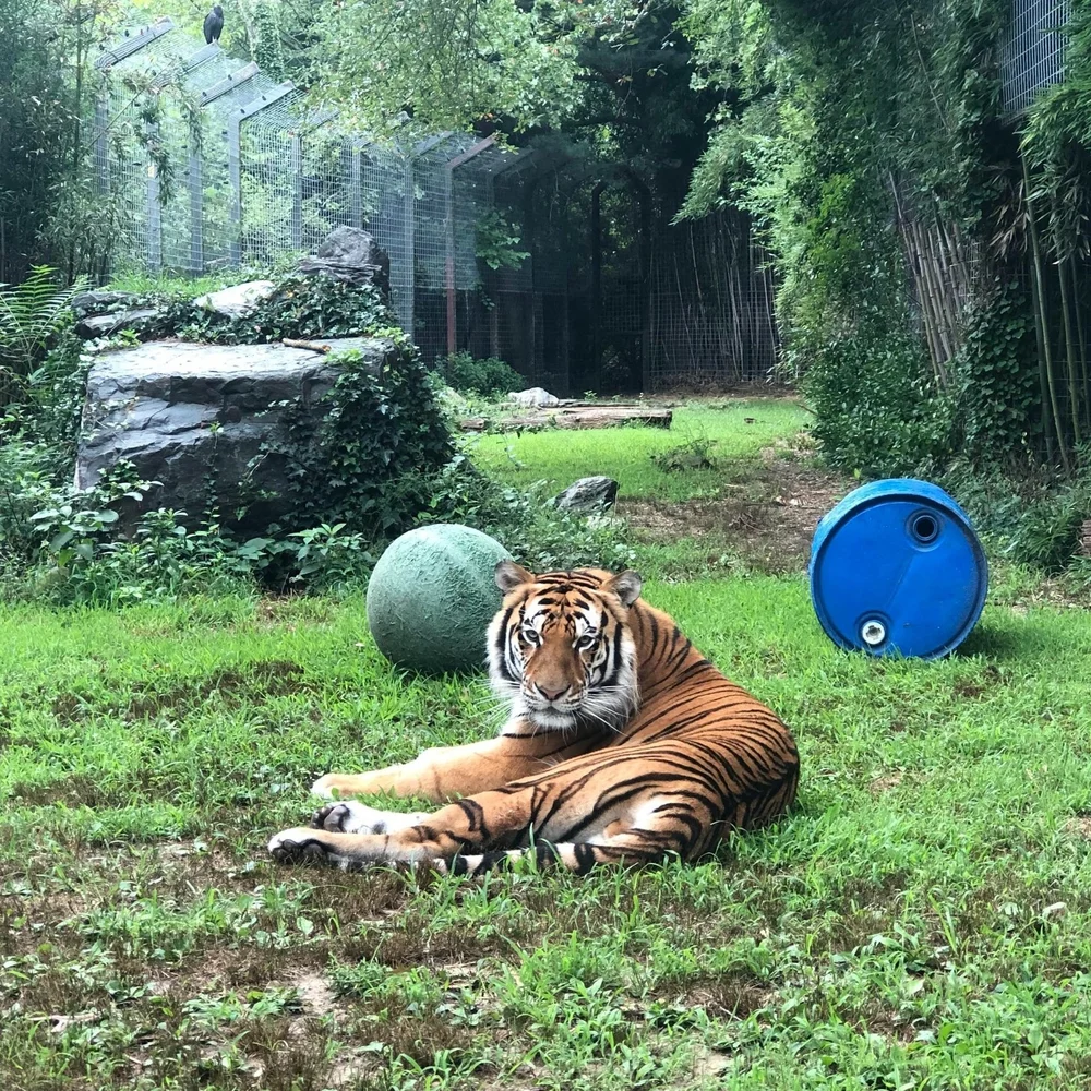 Donate — Cohanzick Zoo