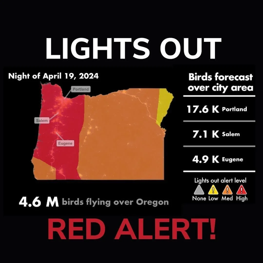 We provide education about light pollution and preserving the dark ...