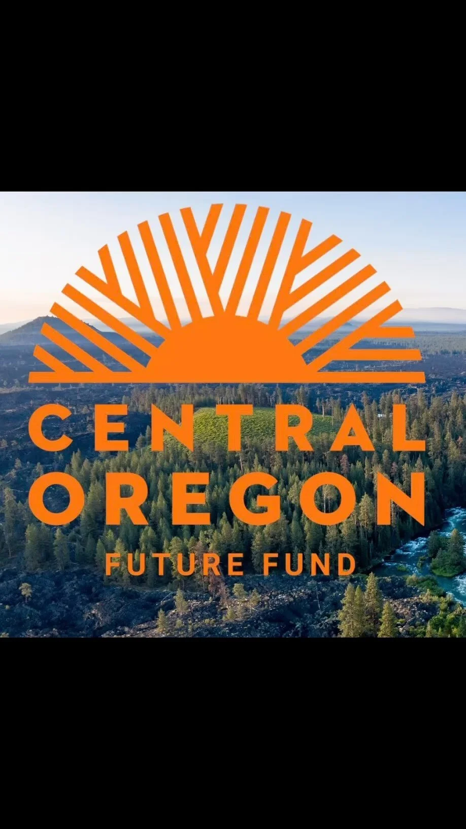 We provide education about light pollution and preserving the dark ...