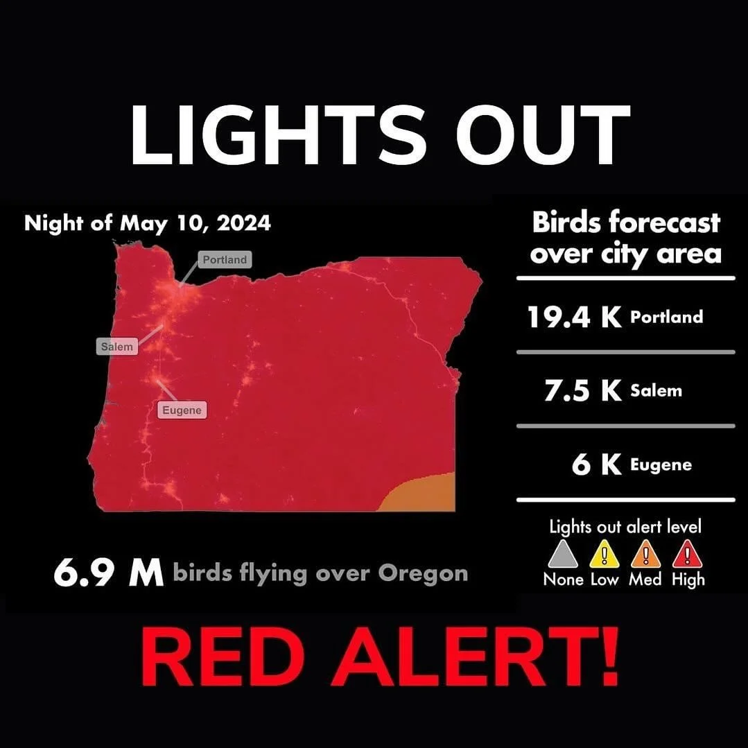 Part 1: Where in Oregon is the Night Sky Most Pristine? And, Most Light ...