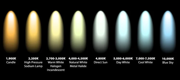 What is Light Pollution? — DarkSky Oregon