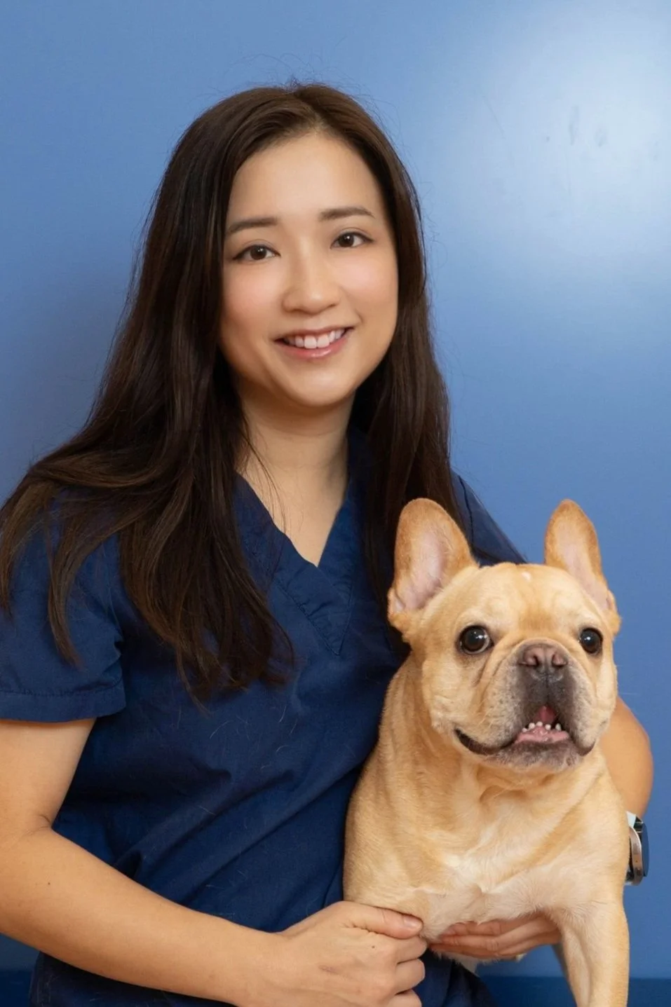 Experienced Veterinary Team — North Point Animal Hospital | 北角動物醫院