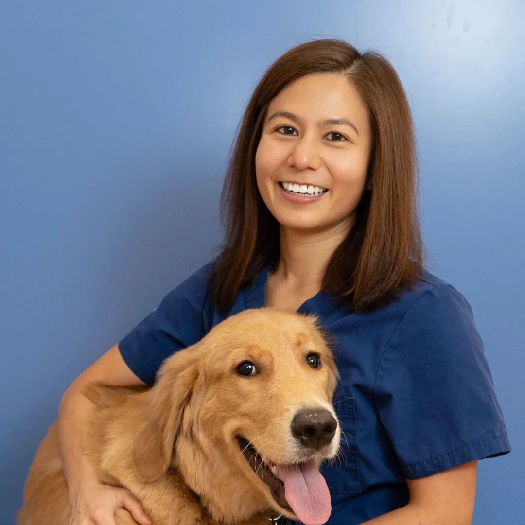 Dr. Ruth Ng — North Point Animal Hospital | 北角動物醫院