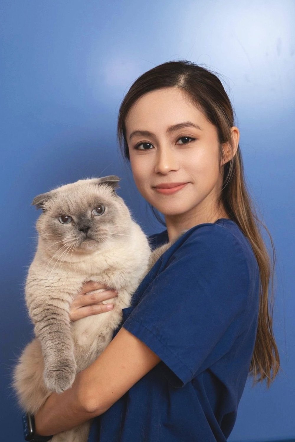 Experienced Veterinary Team — North Point Animal Hospital | 北角動物醫院