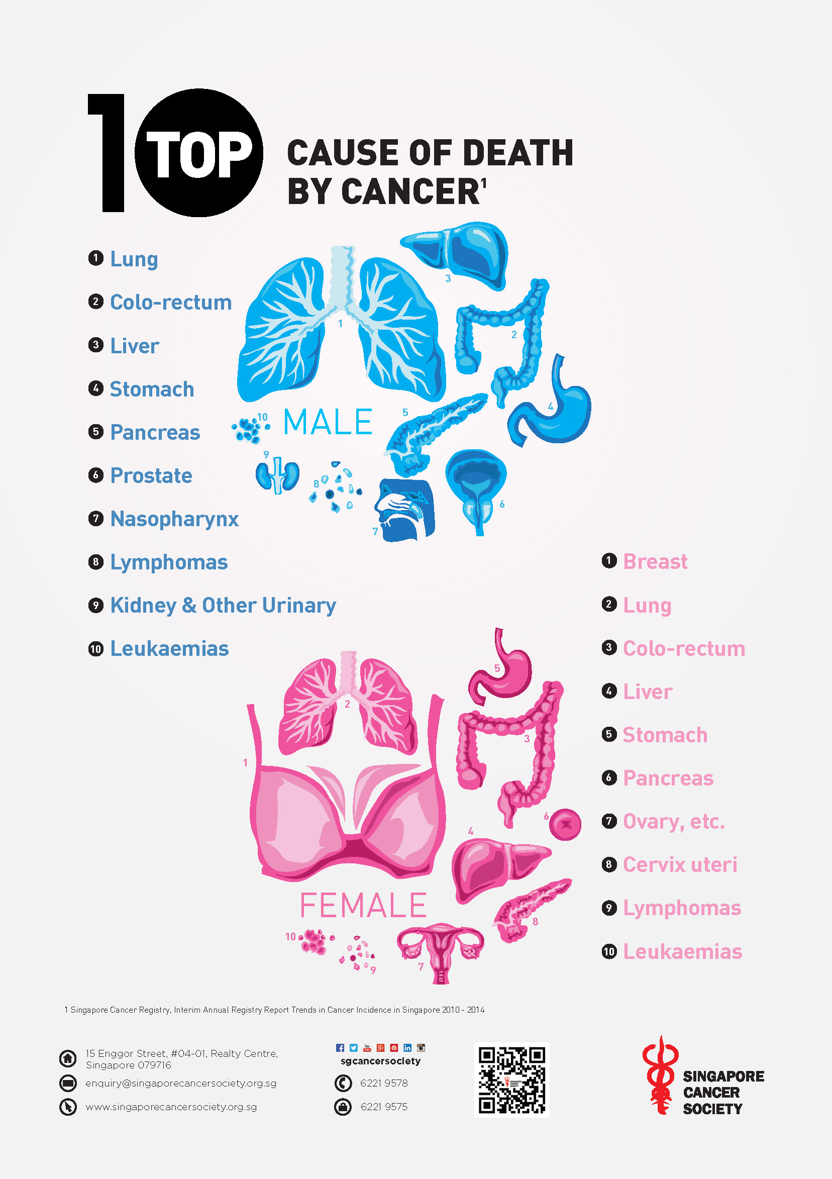 WHAT THE HECK IS GOING ON? — All The Things That Cancer Brings