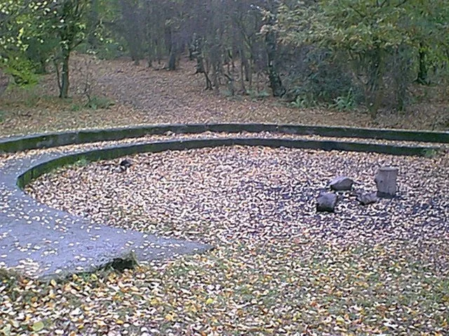 Campfire Circle — Johns Lee Wood Campsite