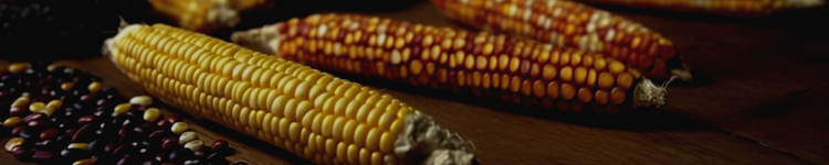 The Ultimate Guide to Growing Sweet Corn: From Seed to Harvest ...