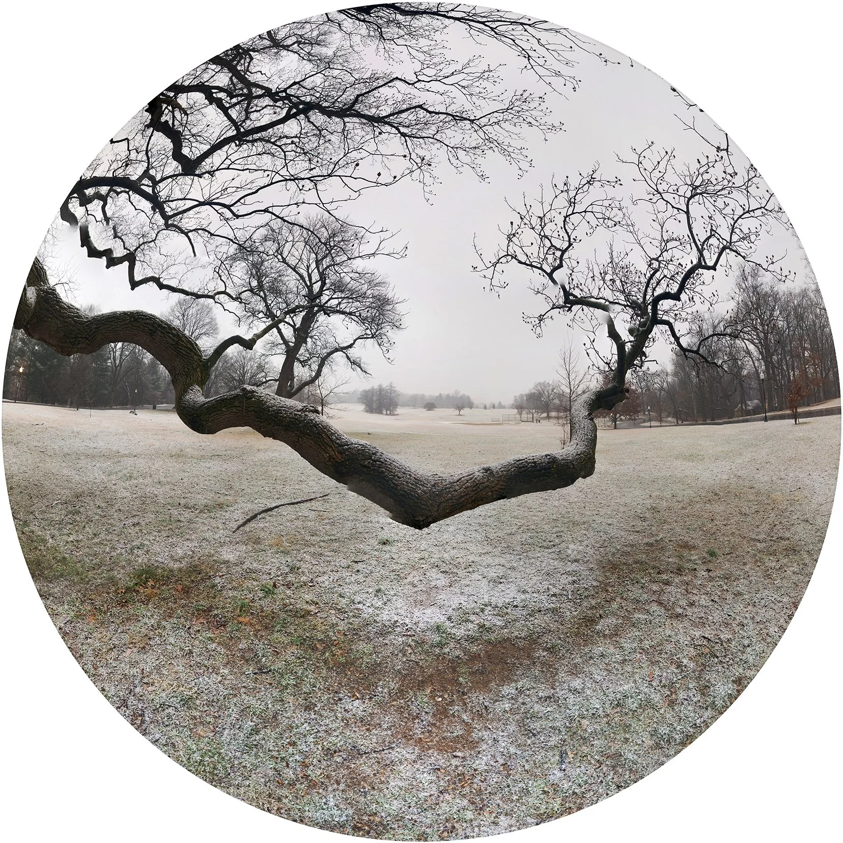 Latest — Michael Northrup