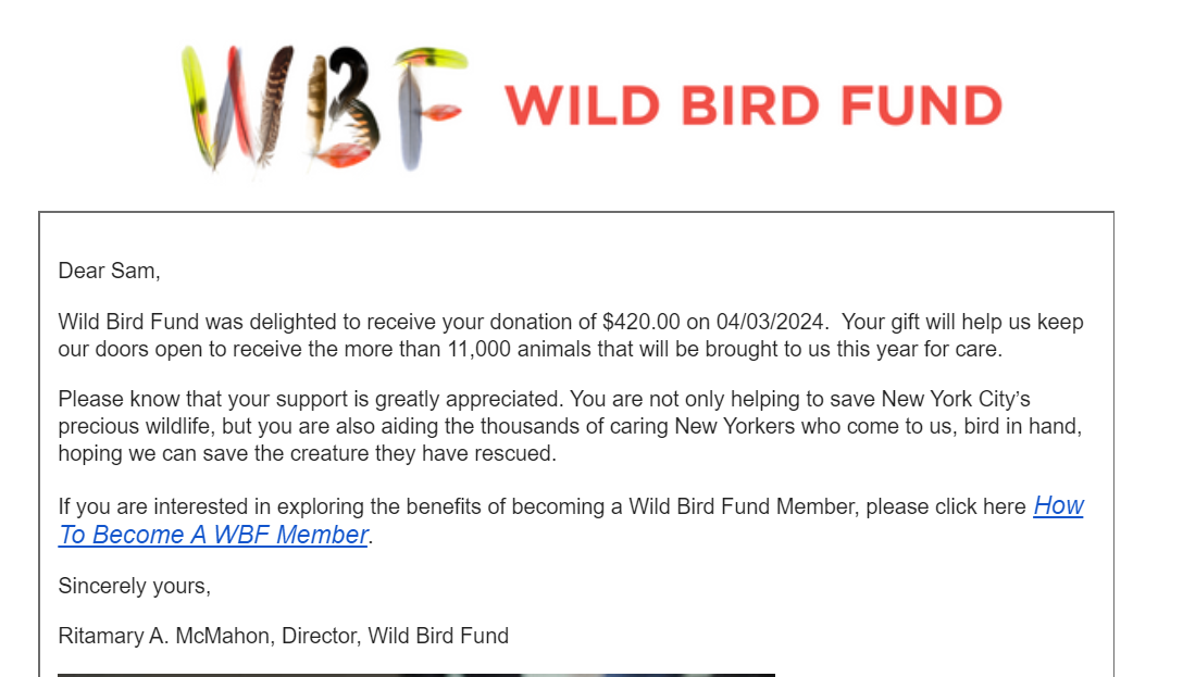 Aiding Wildlife Rescue & Habitat Restoration — planttdaddii