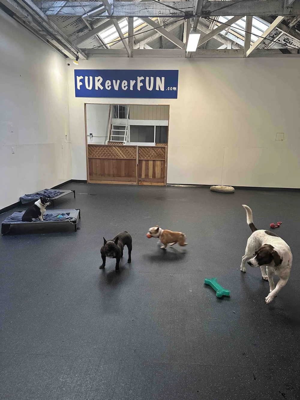Our Space — FUReverFUN