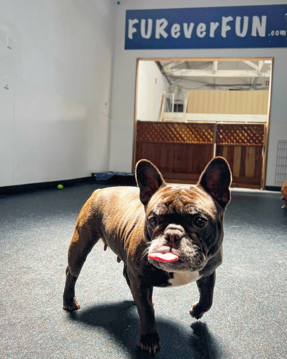 Our Space — FUReverFUN