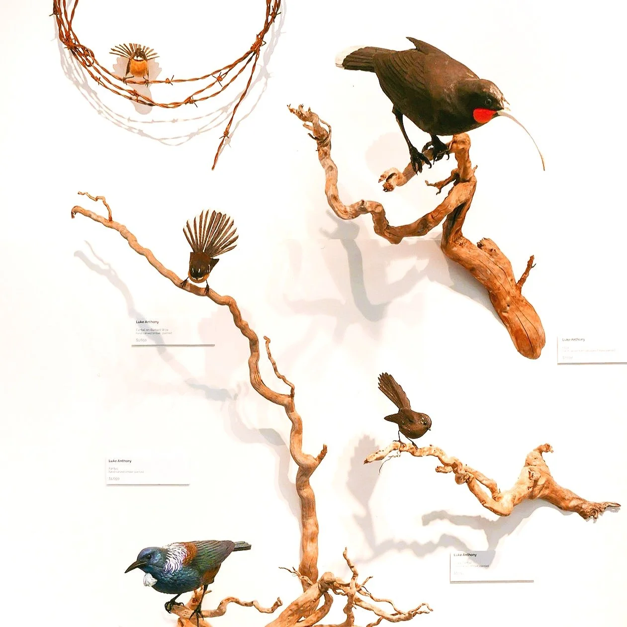 Athol Gallery: Rural NZ Art