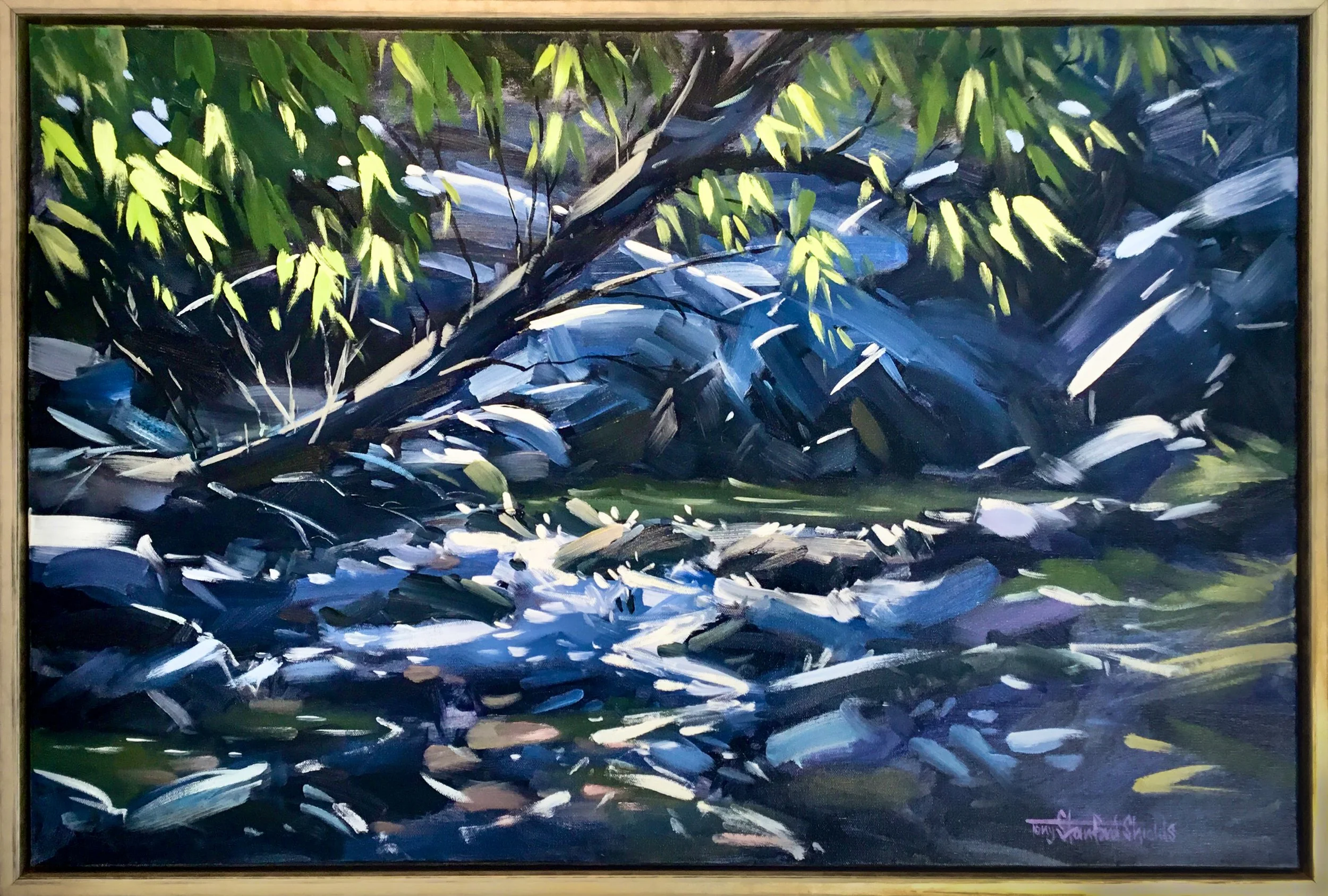 Tony Stanford Shields — Athol Gallery