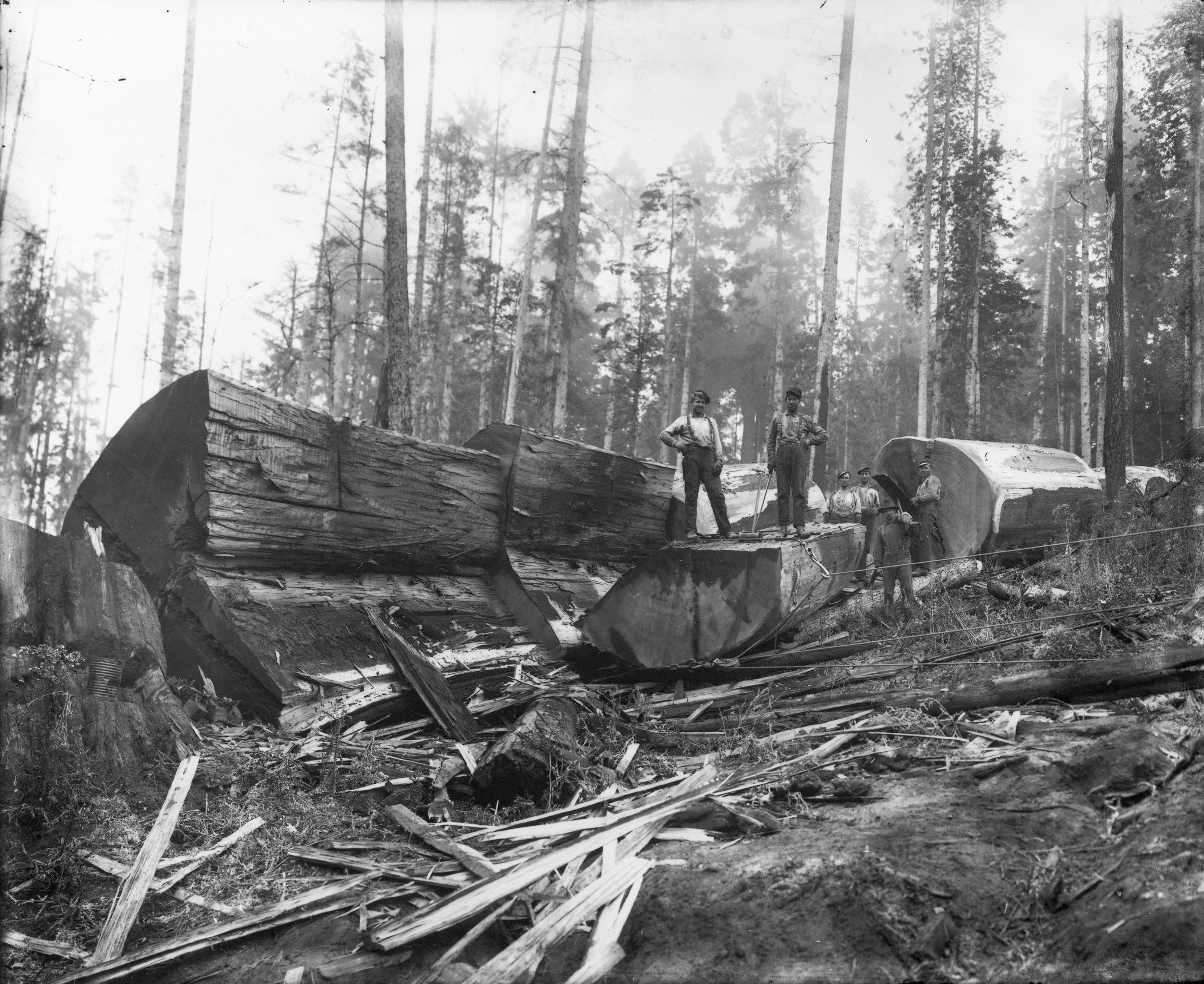 Fort Humboldt SHP — Timber Heritage Association