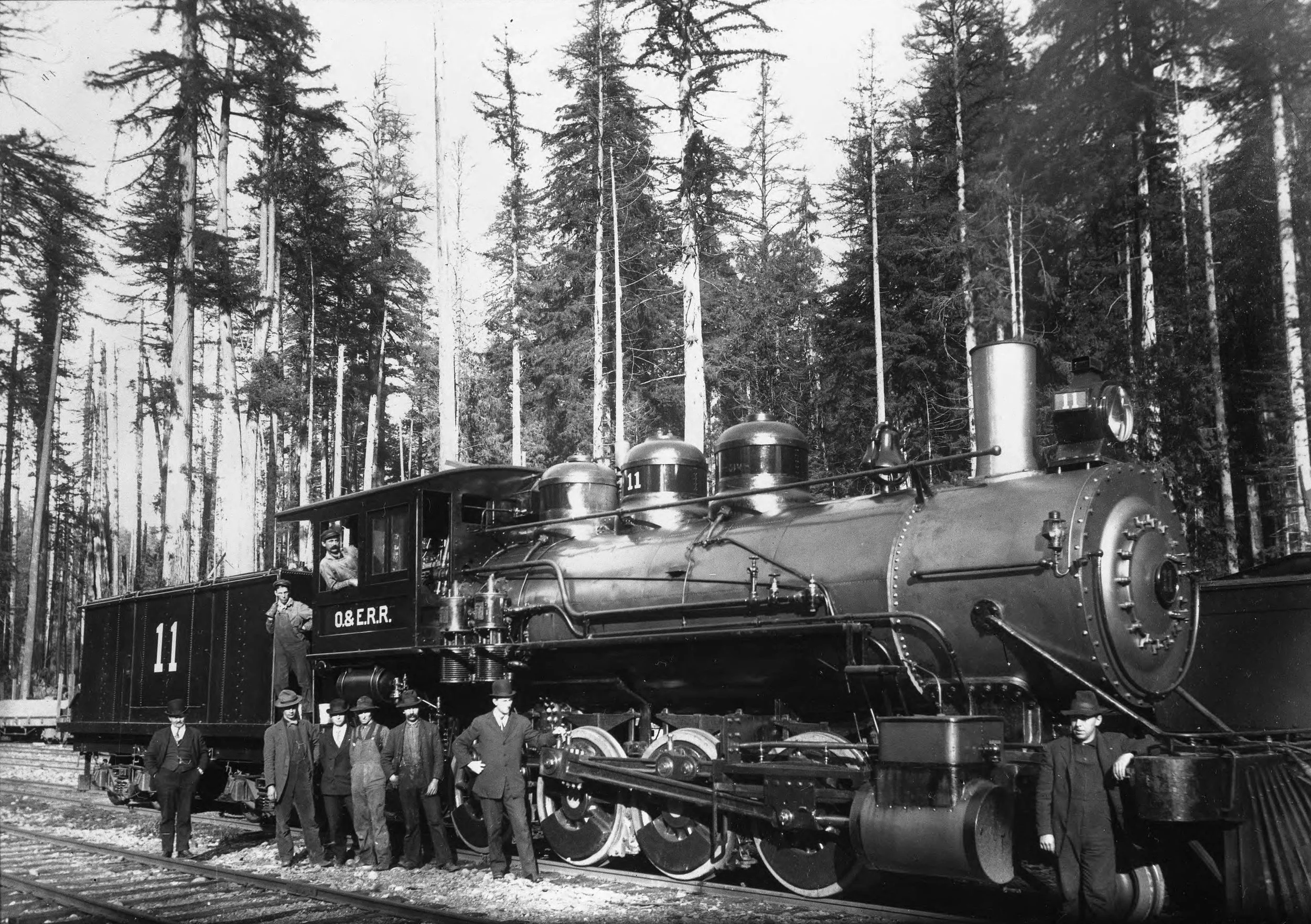 Timber Heritage Association