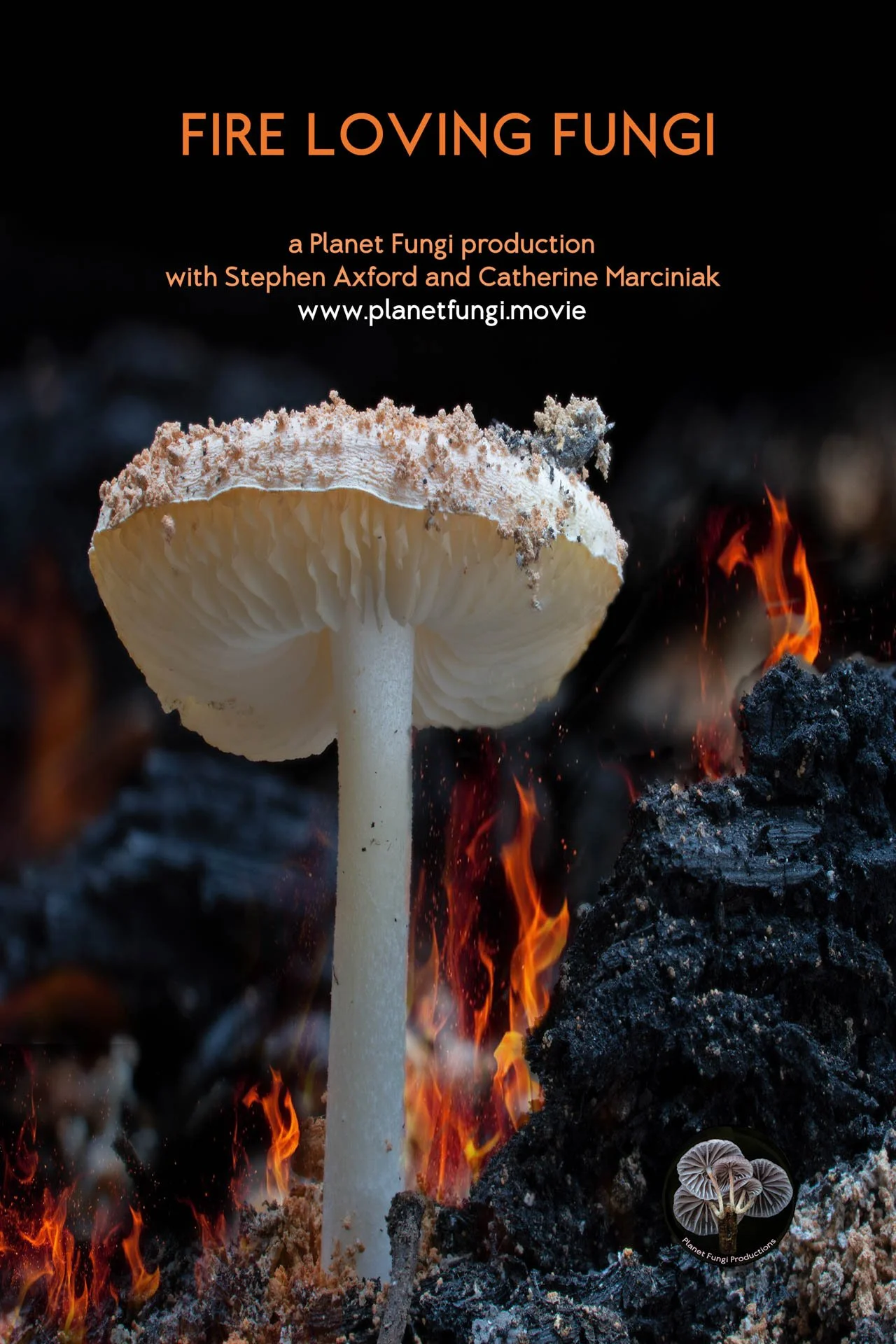 Award Winning Documentaries by Stephen Axford & Catherine Marciniak ...