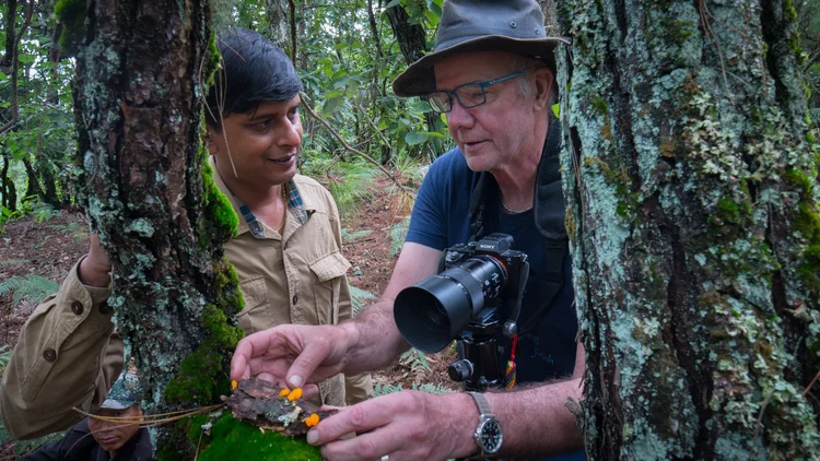 About — Planet Fungi