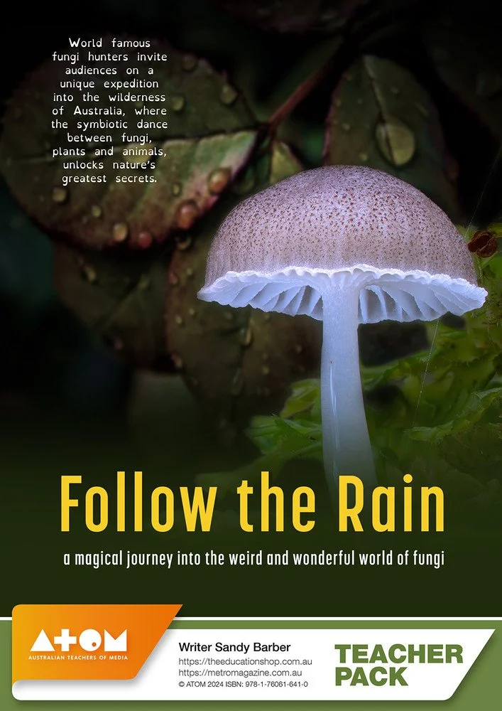 Planet Fungi | Photography | Book | Films | Timelapse
