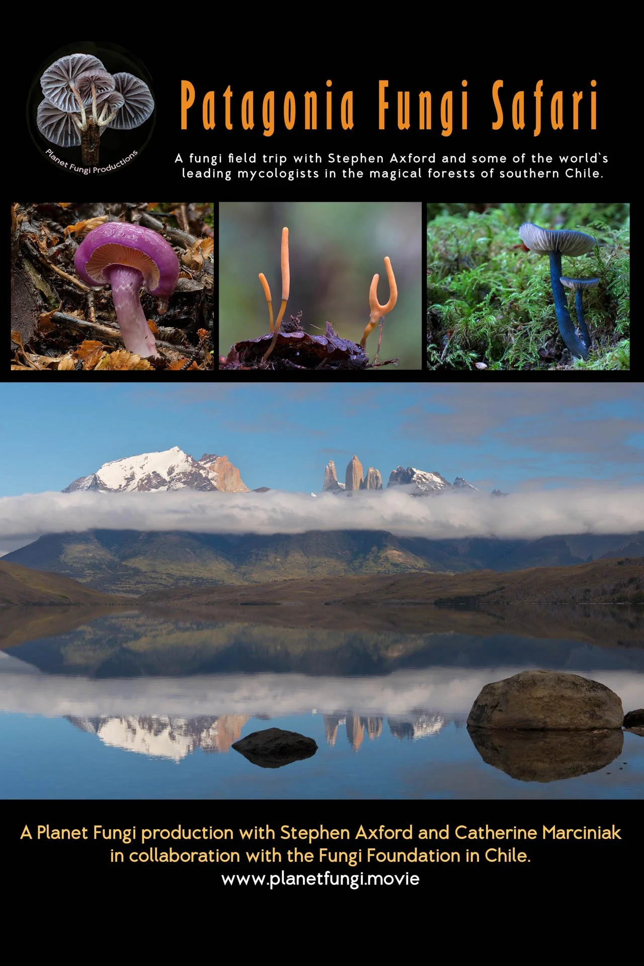 Award Winning Documentaries by Stephen Axford & Catherine Marciniak ...