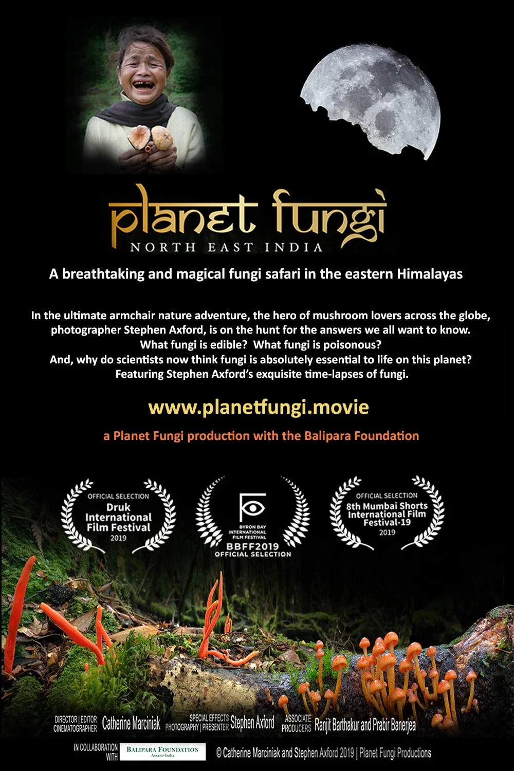 Award Winning Documentaries by Stephen Axford & Catherine Marciniak ...