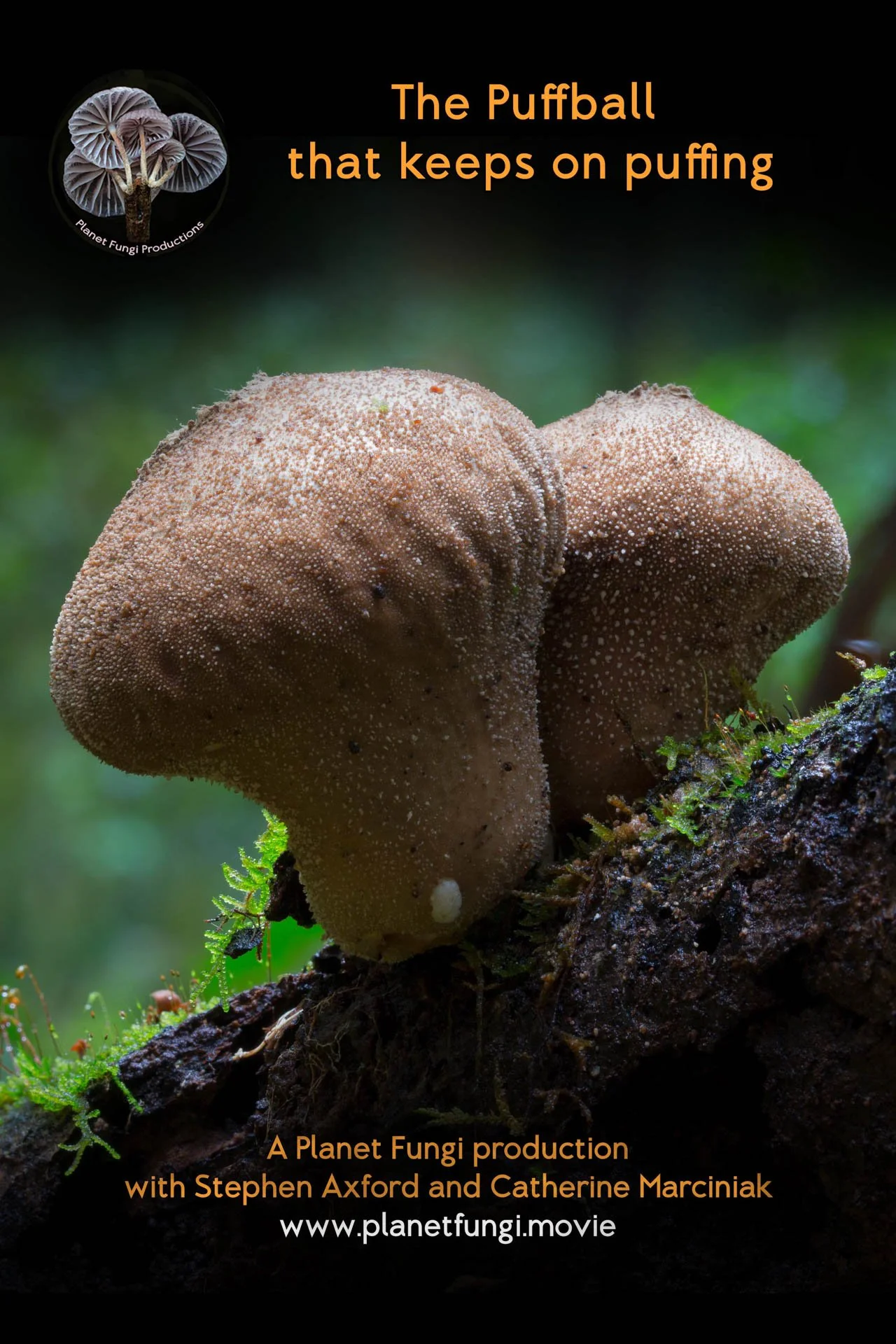 Award Winning Documentaries by Stephen Axford & Catherine Marciniak ...