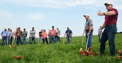Regenerate Outcomes - Regenerative farming mentoring and training in the UK